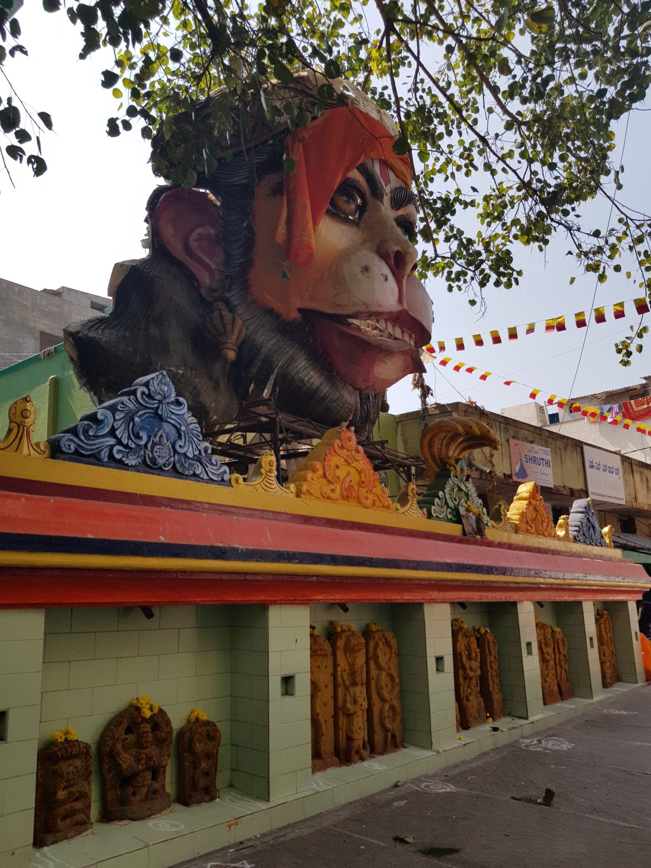 Sve boje Indije - Javni servis